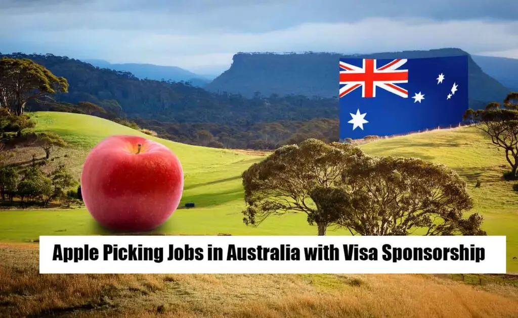 Apple Picking Jobs in Australia 2025 with Visa Sponsorship – Apply Now ...