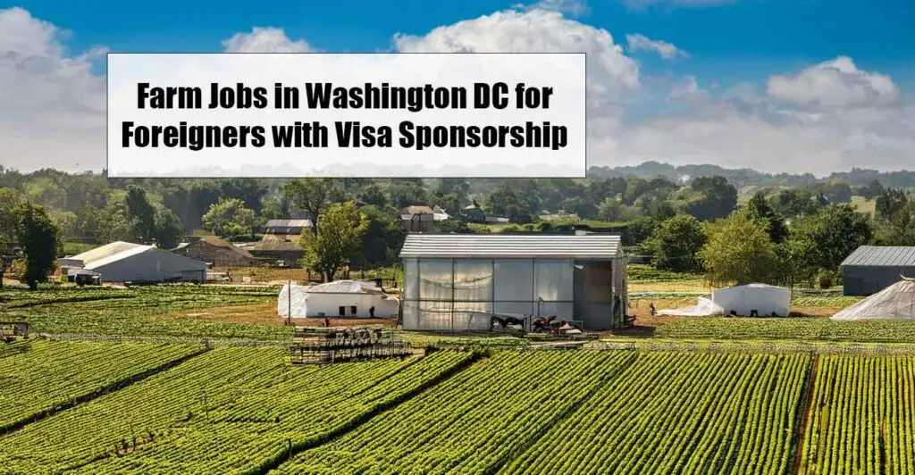 Farm Jobs in Washington DC 2025 for Foreigners with Visa Sponsorship ...